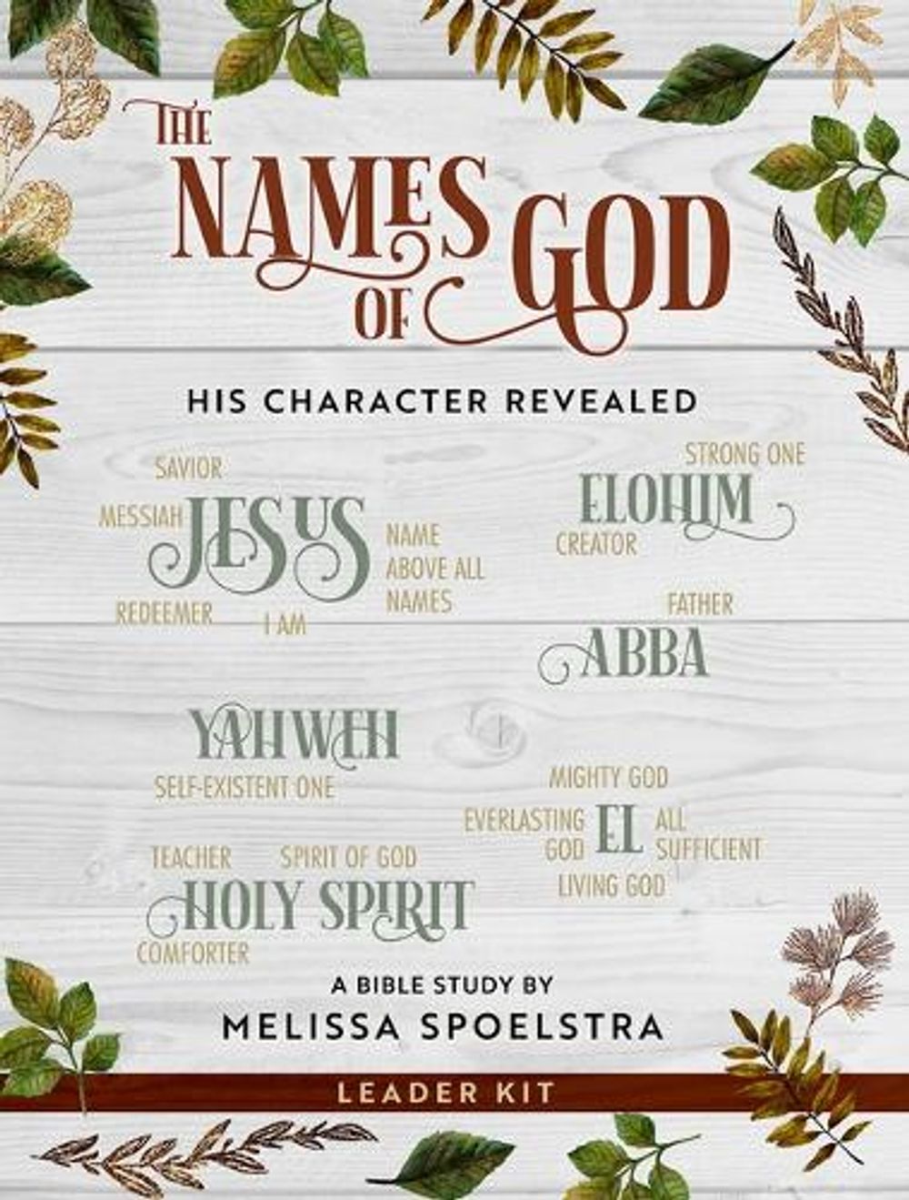 The Names of God - Women's Bible Study Leader Kit: His Character ...