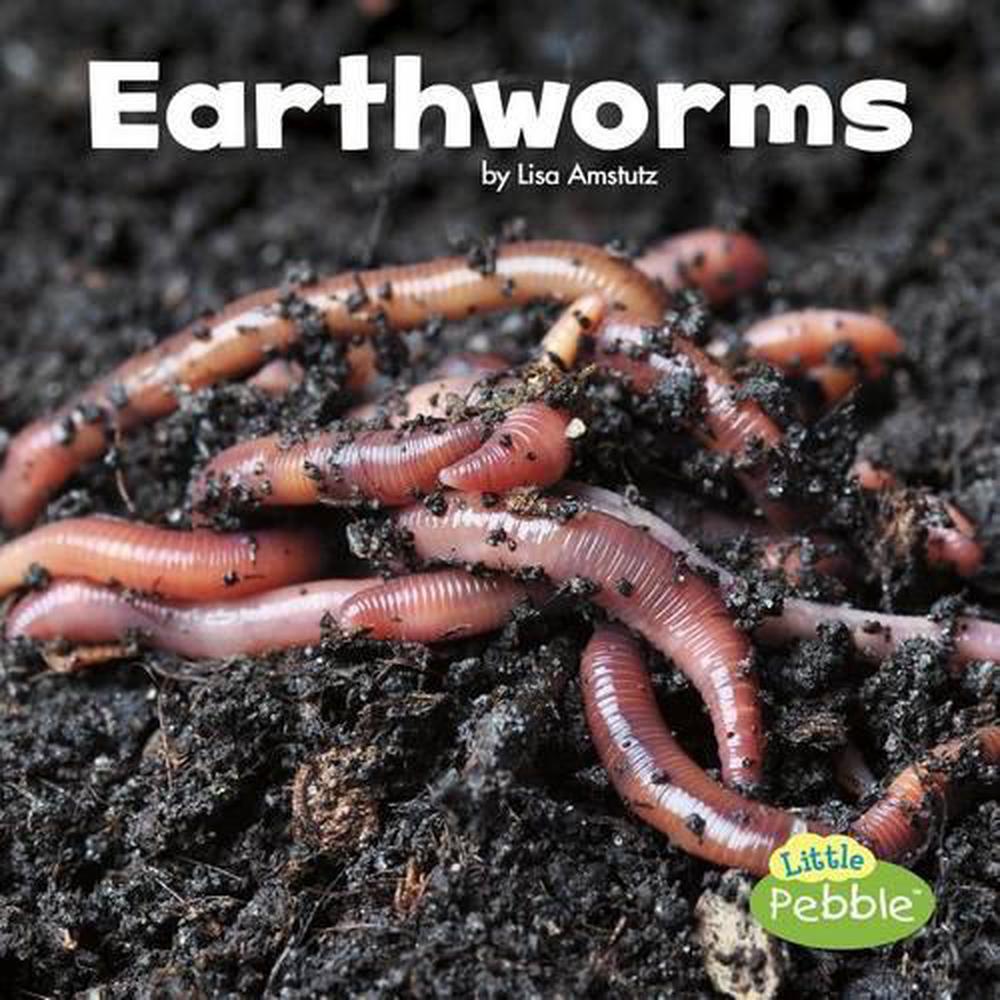 Earthworms (Little Critters) by Lisa J. Amstutz, Paperback ...