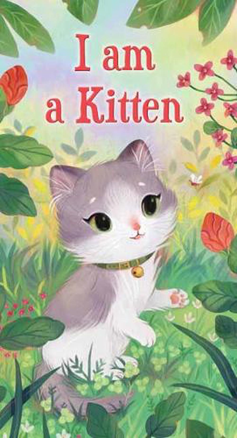 I am a Kitten by Ole Risom, Board Books, 9781524767297 | Buy online at ...