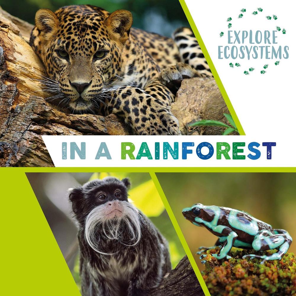 Explore Ecosystems: In a Rainforest by Sarah Ridley, Paperback ...