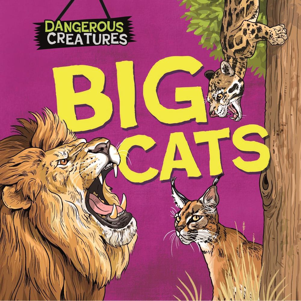 Dangerous Creatures: Big Cats by Lynn Huggins-Cooper, Paperback ...