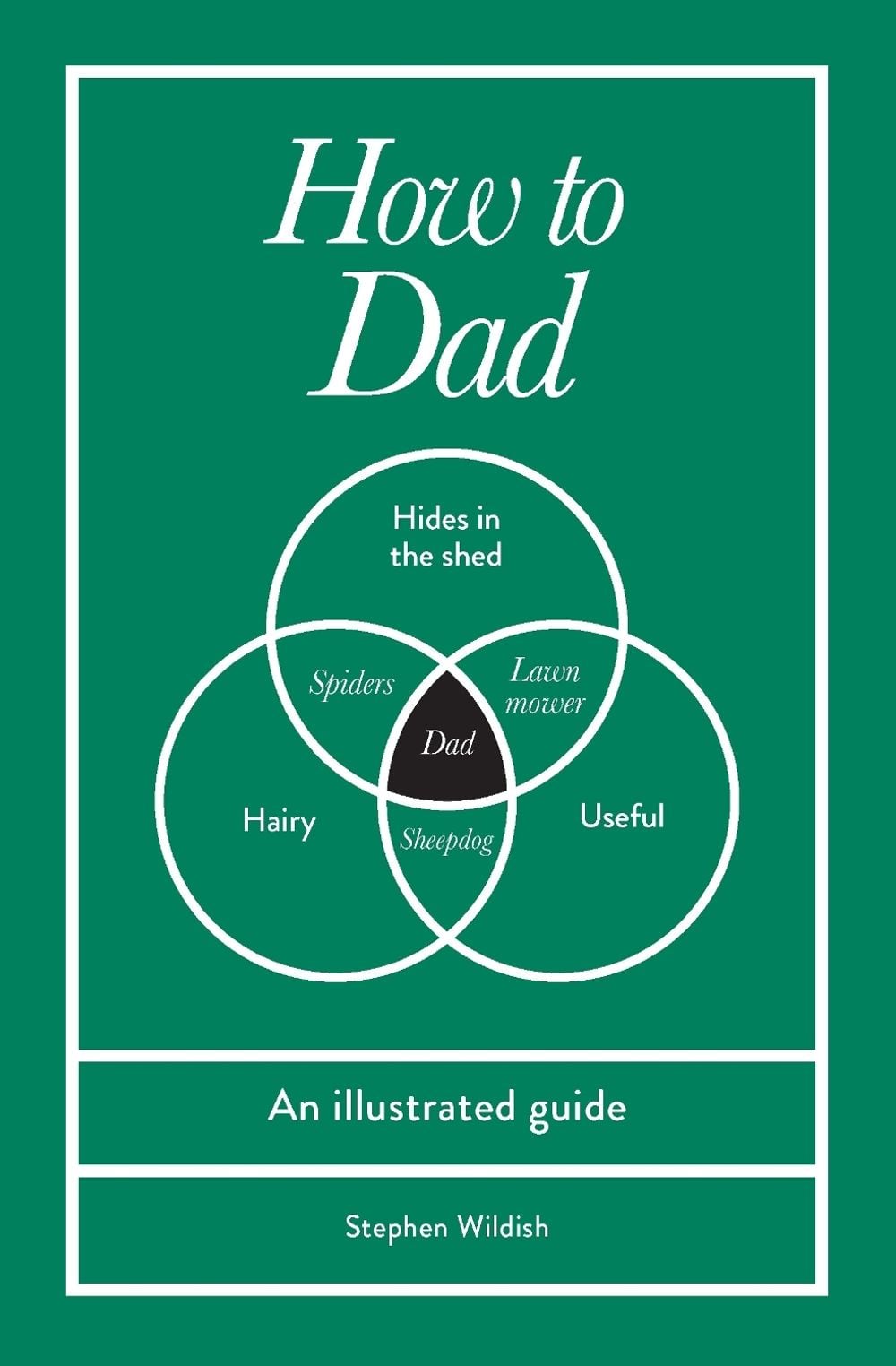 How to Dad by Stephen Wildish, Hardcover, 9781529954449 | Buy online at ...