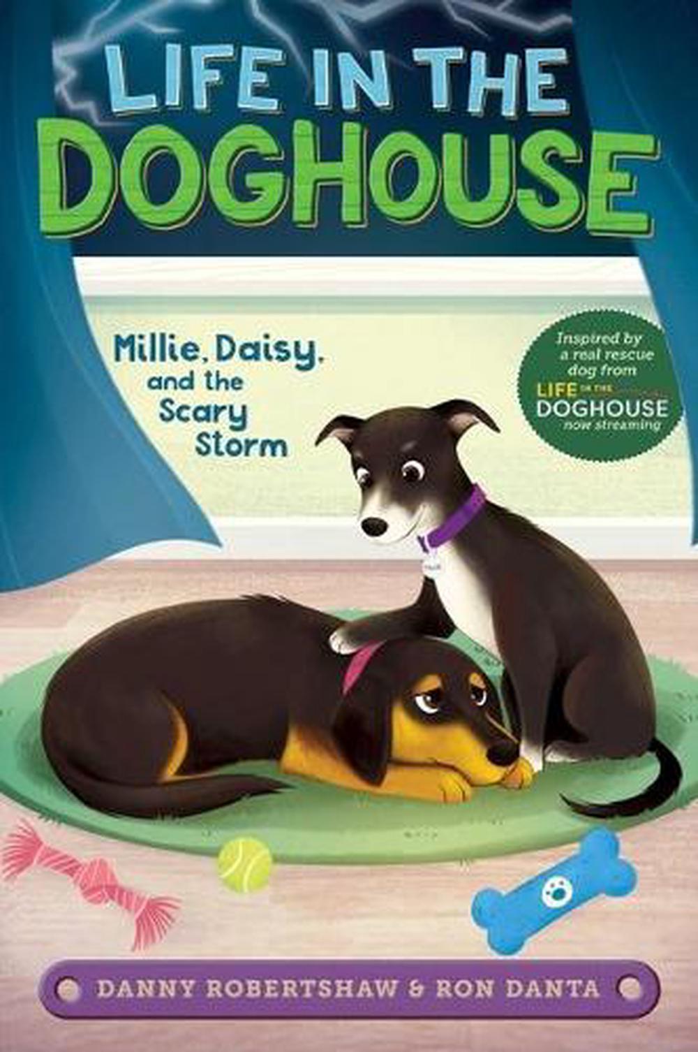 Millie, Daisy, and the Scary Storm by Danny Robertshaw, Hardcover ...