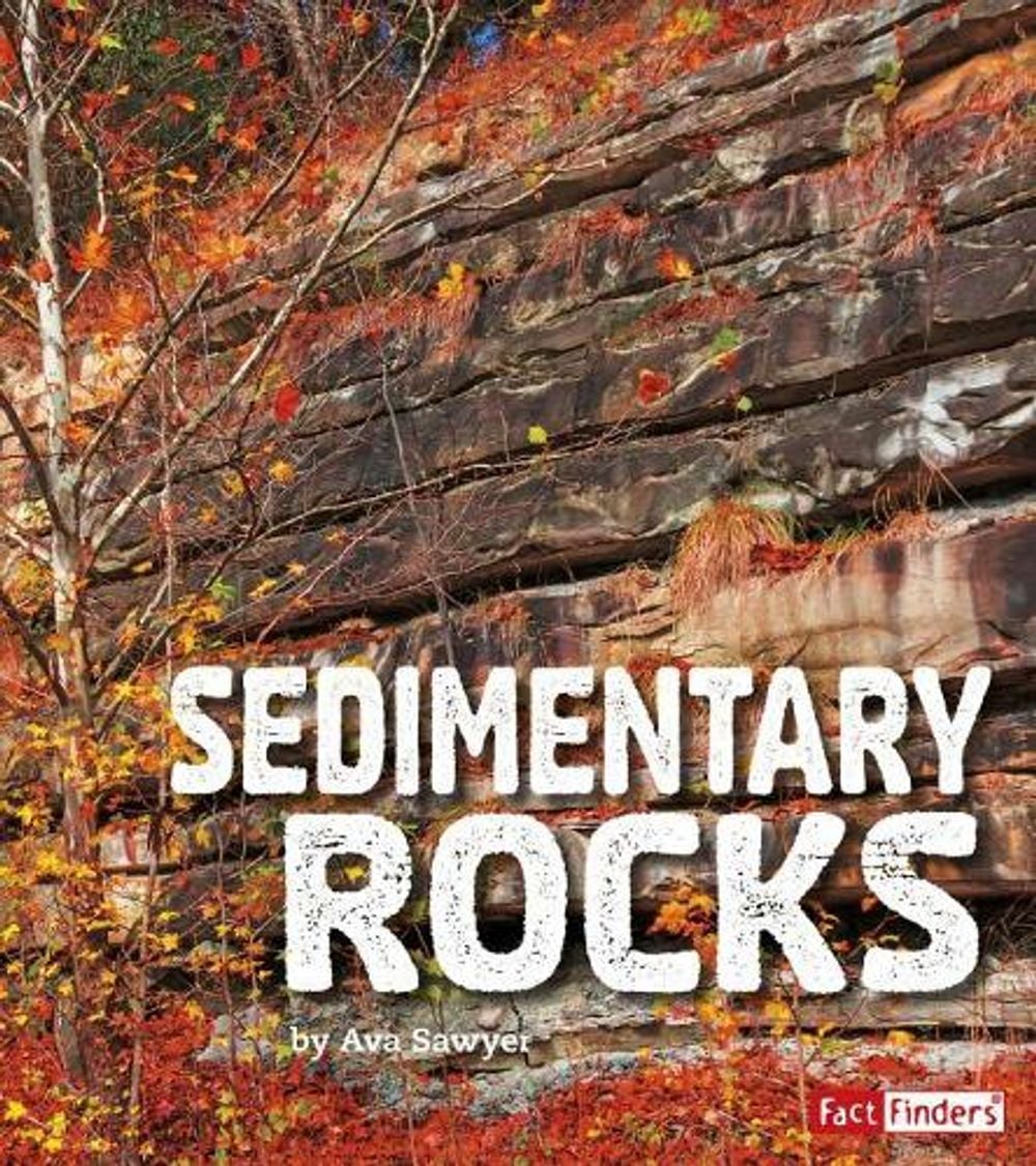 Rocks Sedimentary Rocks by Ava Sawyer, Paperback, 9781543527117 | Buy ...