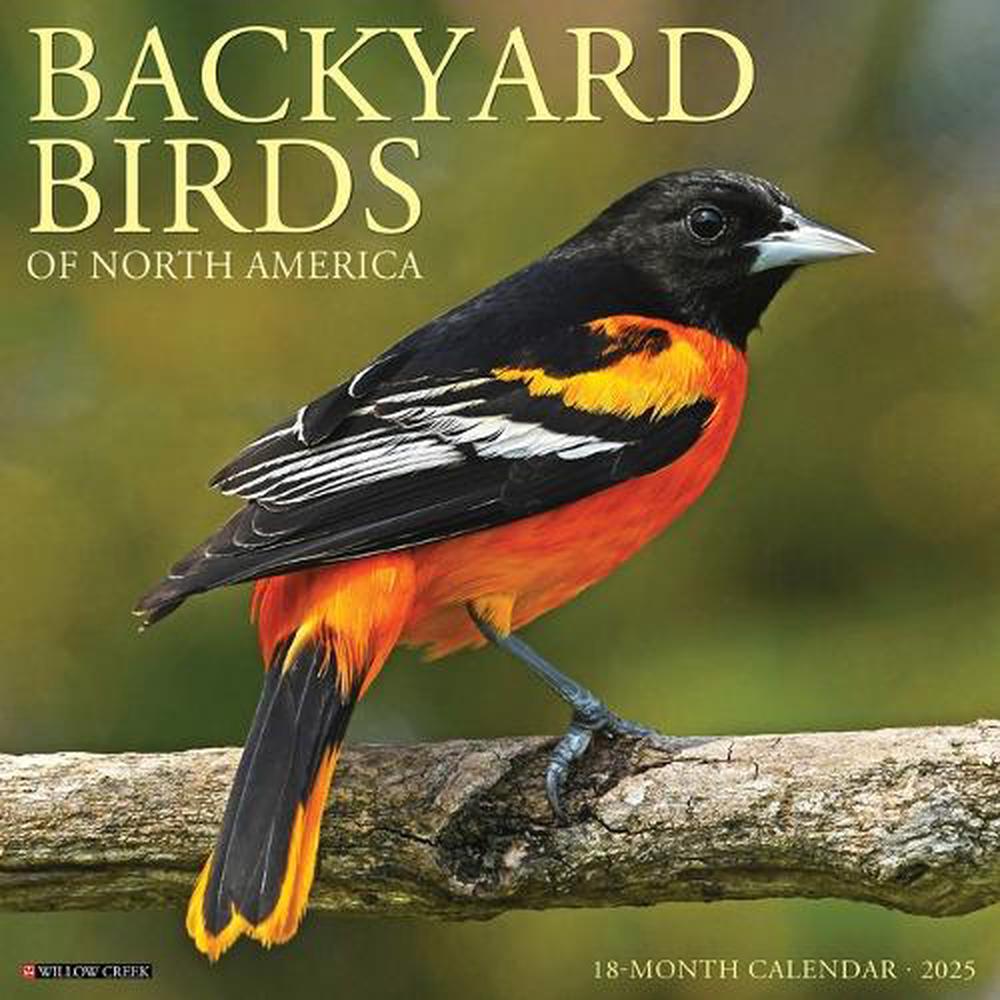 Backyard Birds 2026 Wall Calendar by Willow Creek Press, 9781549250026 ...
