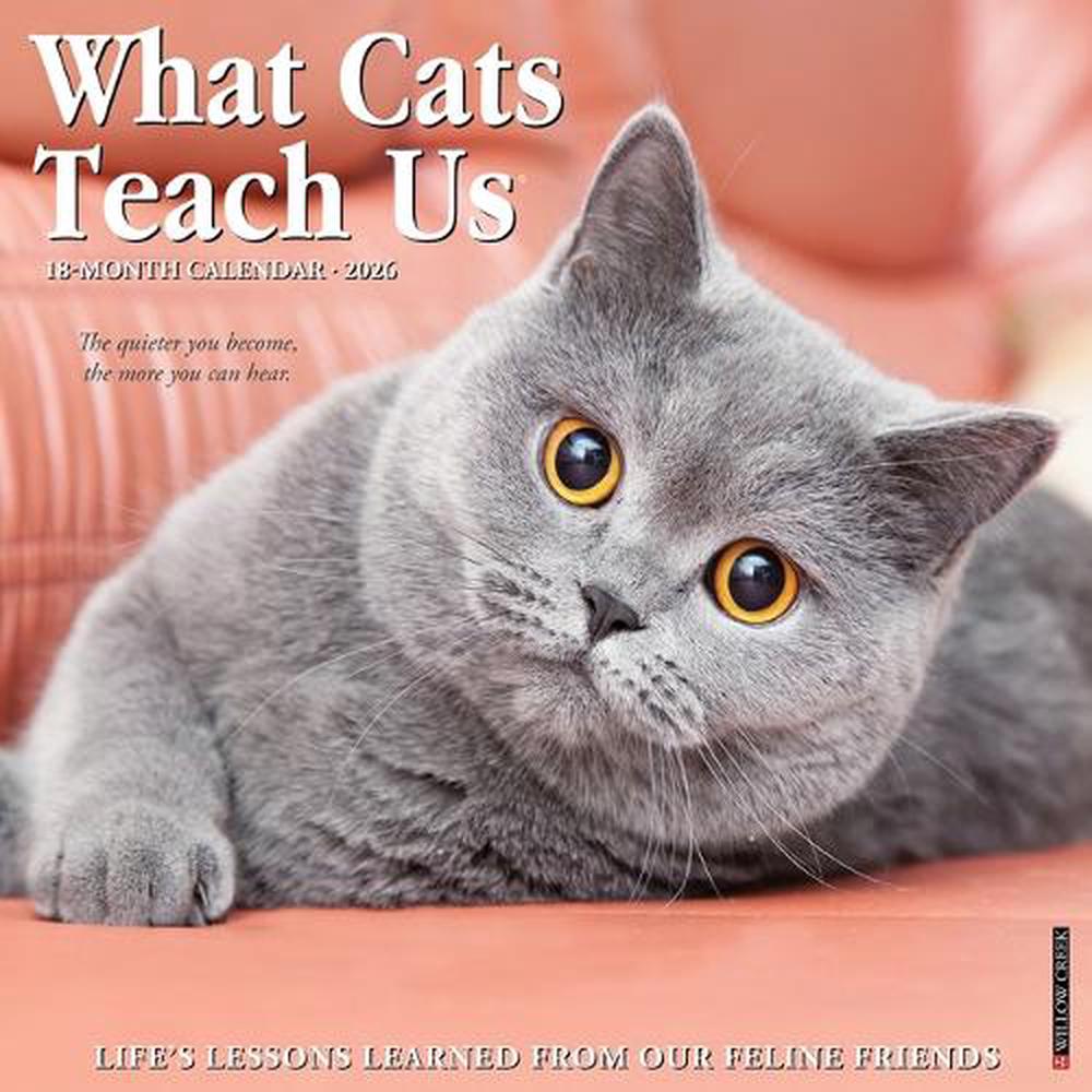 What Cats Teach Us 2026 12 X 12 Wall Calendar by Willow Creek Press ...