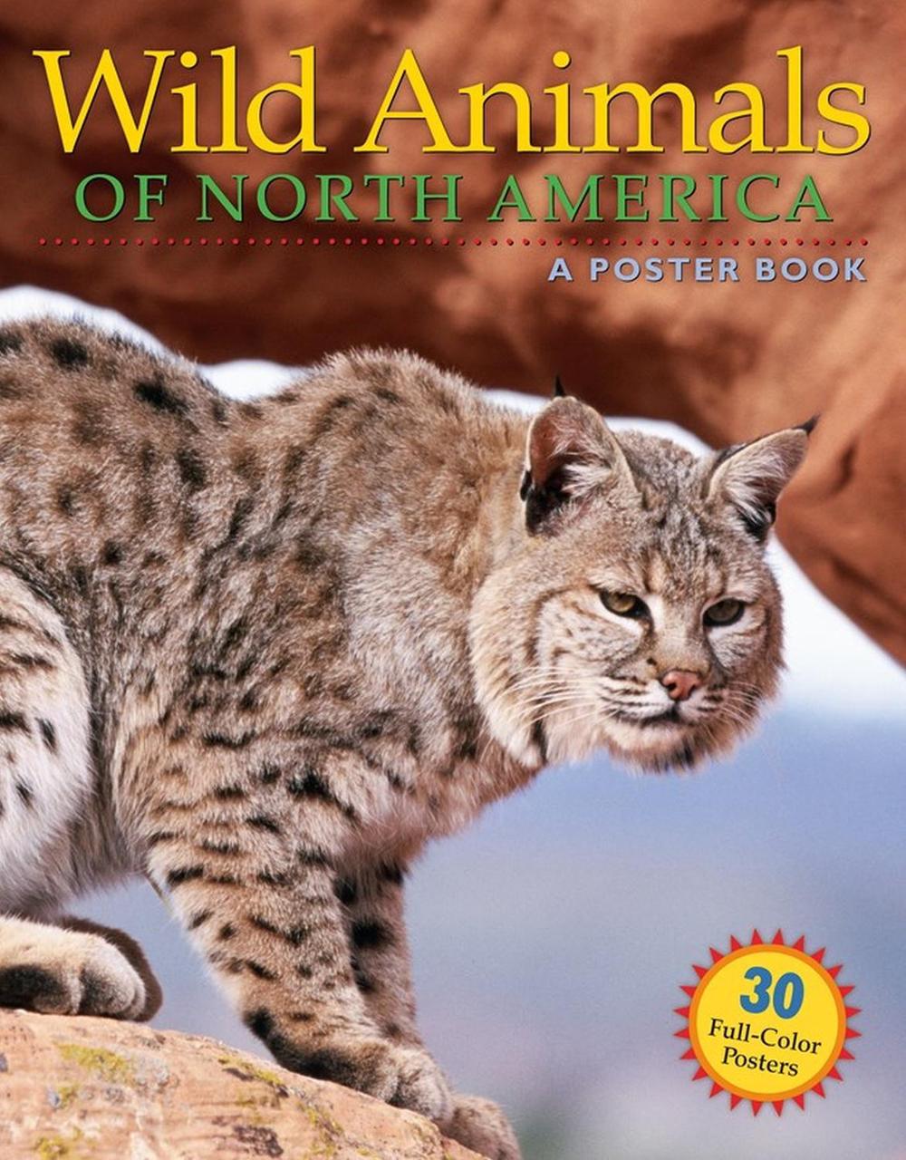 Wild Animals of North America: A Poster Book by LLC, Storey Publishing ...