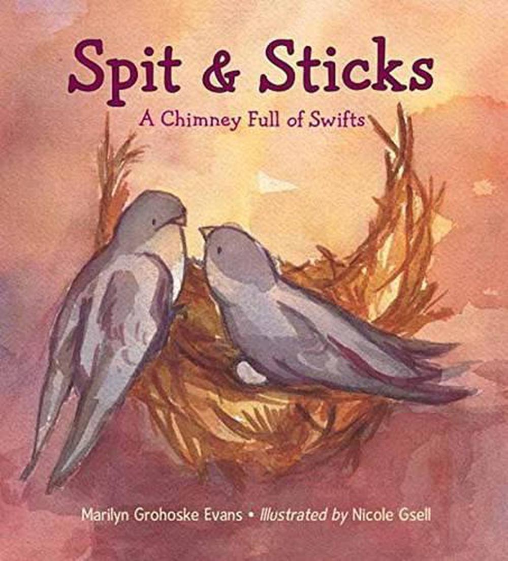 Spit & Sticks by Marilyn Grohoske Evans, Hardcover, 9781580895880 | Buy ...