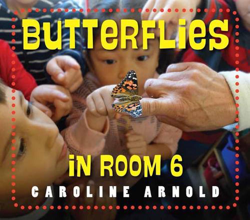 Butterflies in Room 6 by Caroline Arnold, Hardcover, 9781580898942 ...