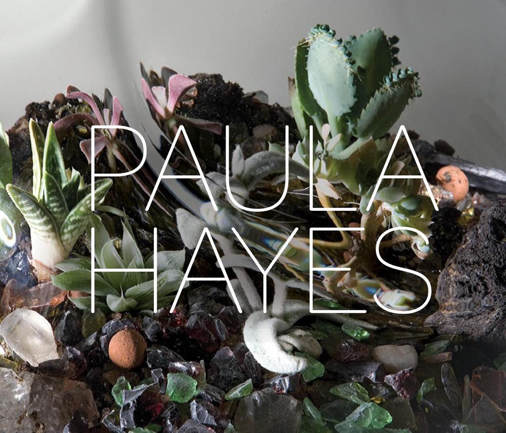 Paula Hayes by Paula Hayes, Hardcover, 9781580933292 | Buy online at ...