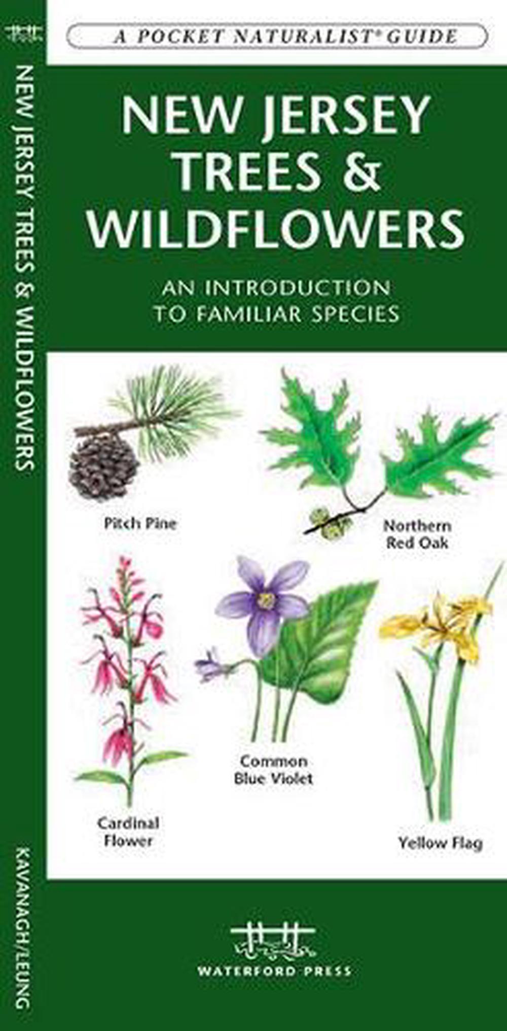 New Jersey Trees & Wildflowers by James Kavanagh, Hardcover ...