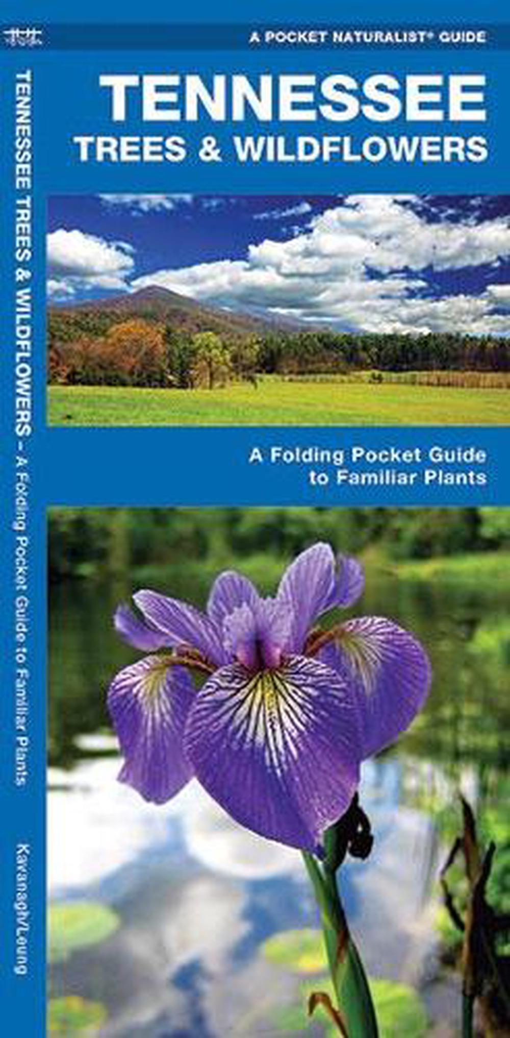 Tennessee Trees & Wildflowers by James Kavanagh, Paperback ...
