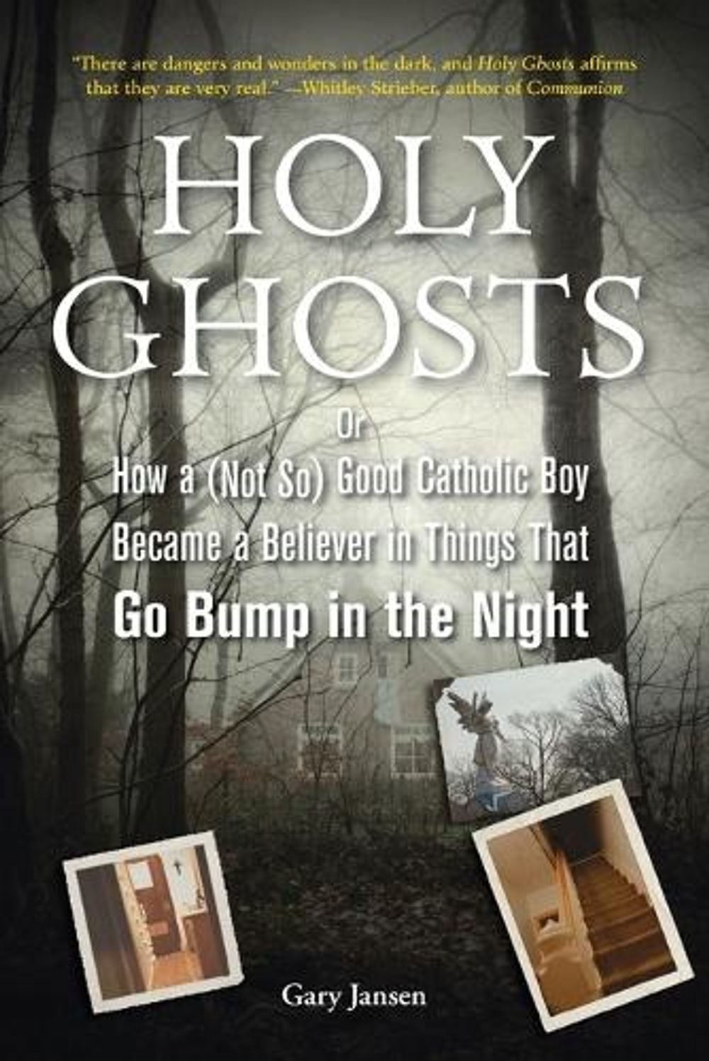Holy Ghosts by Gary Jansen, Paperback, 9781585428953 | Buy online at ...