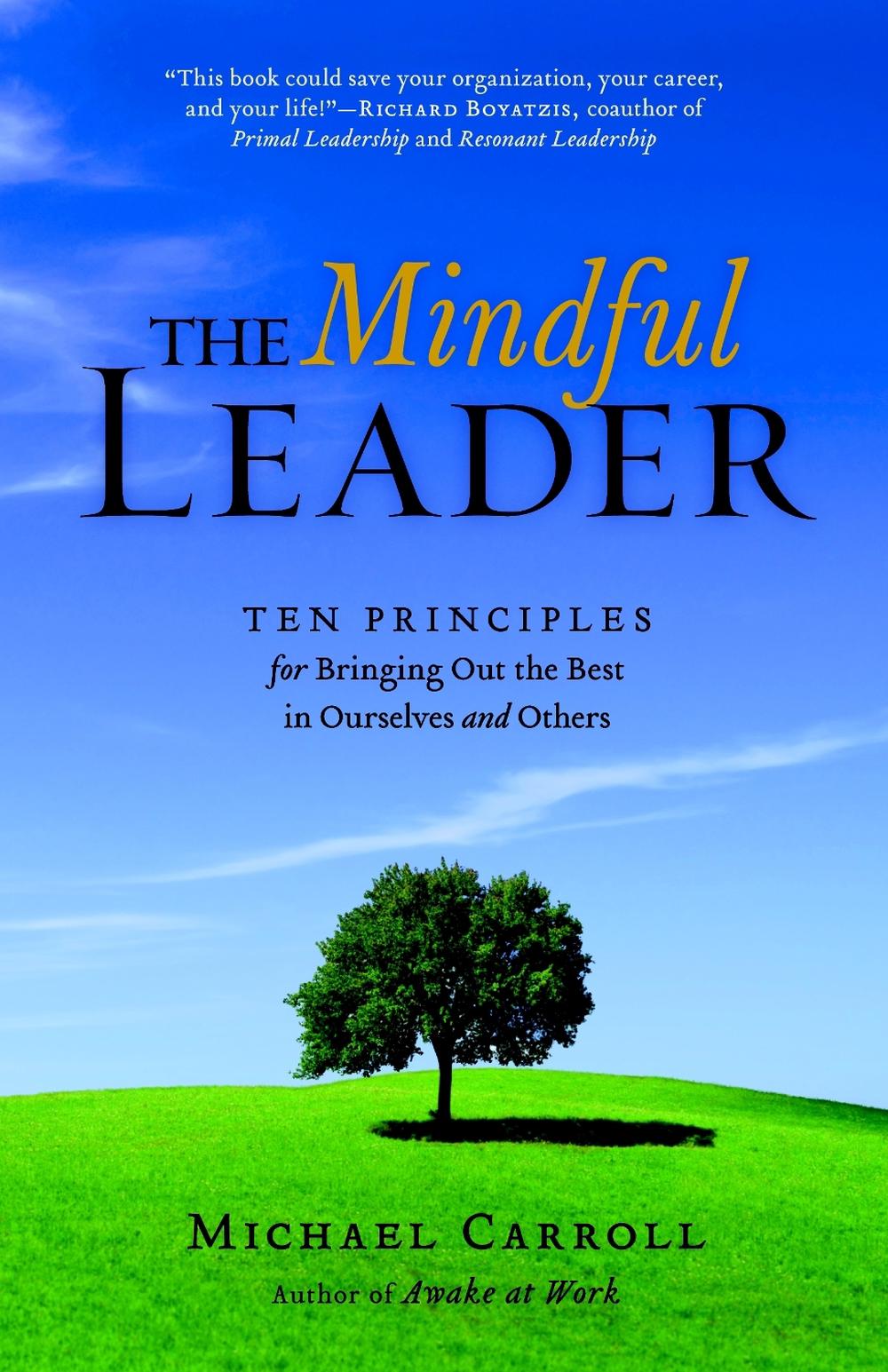 The Mindful Leader by Michael Carroll, Paperback, 9781590306208 | Buy ...