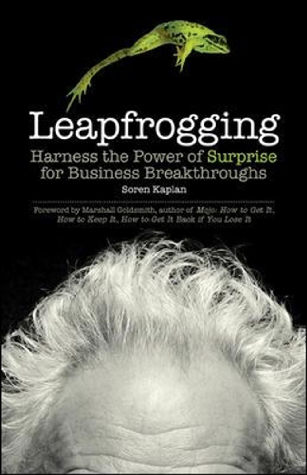 Leapfrogging: Harness the Power of Surprise for Business Breakthroughs ...