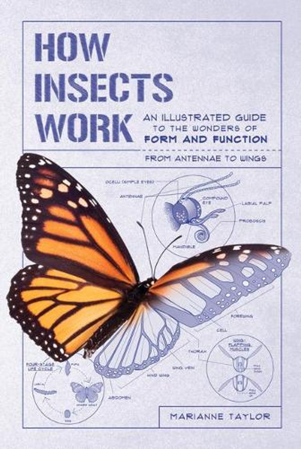 How Insects Work by Marianne Taylor, Paperback, 9781615196494 | Buy ...