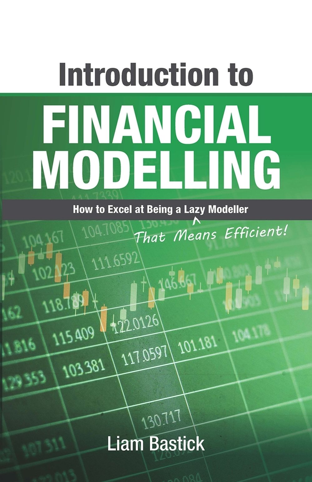 Introduction To Financial Modelling by Liam Bastick, Paperback ...