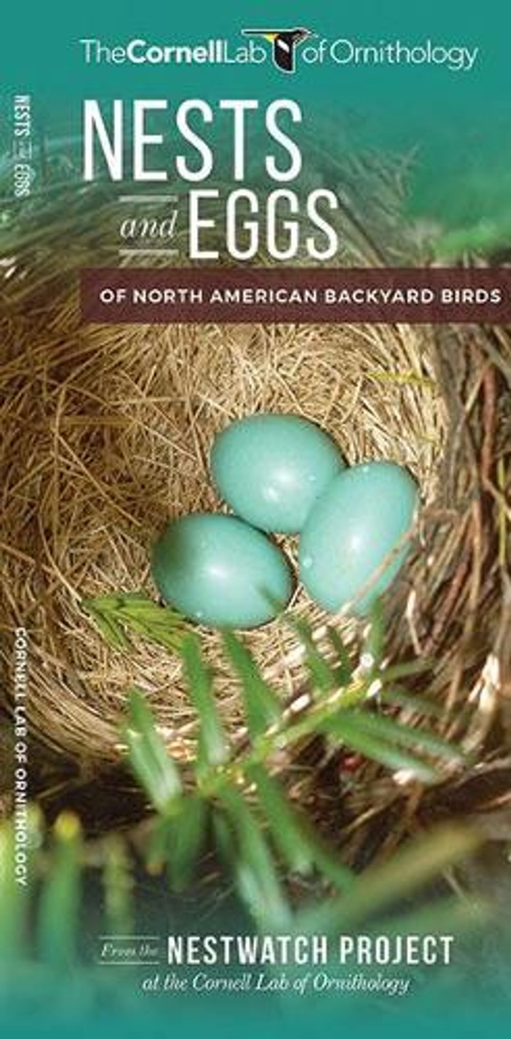 Nests and Eggs of North American Backyard Birds by The Cornell Lab of ...