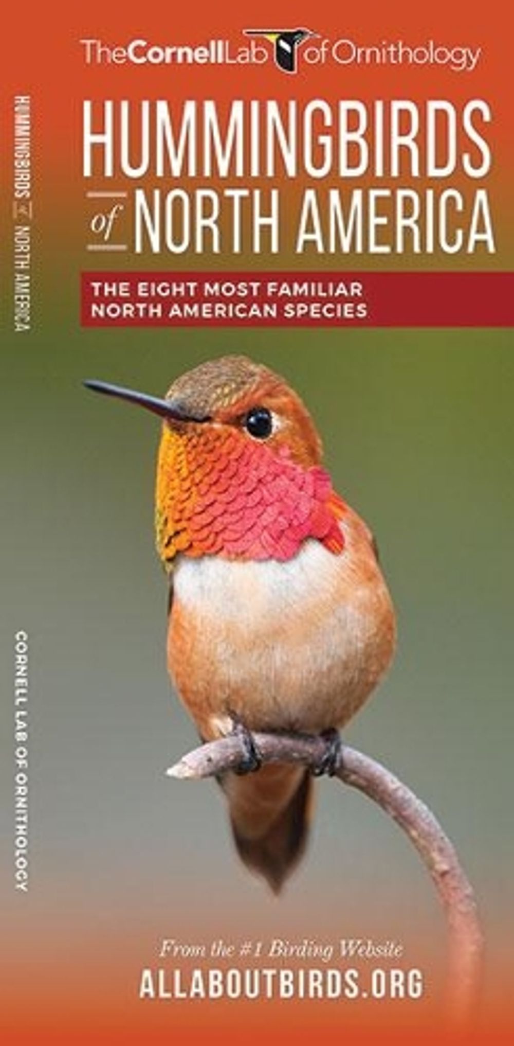 Hummingbirds of North America by The Cornell Lab of Ornithology ...