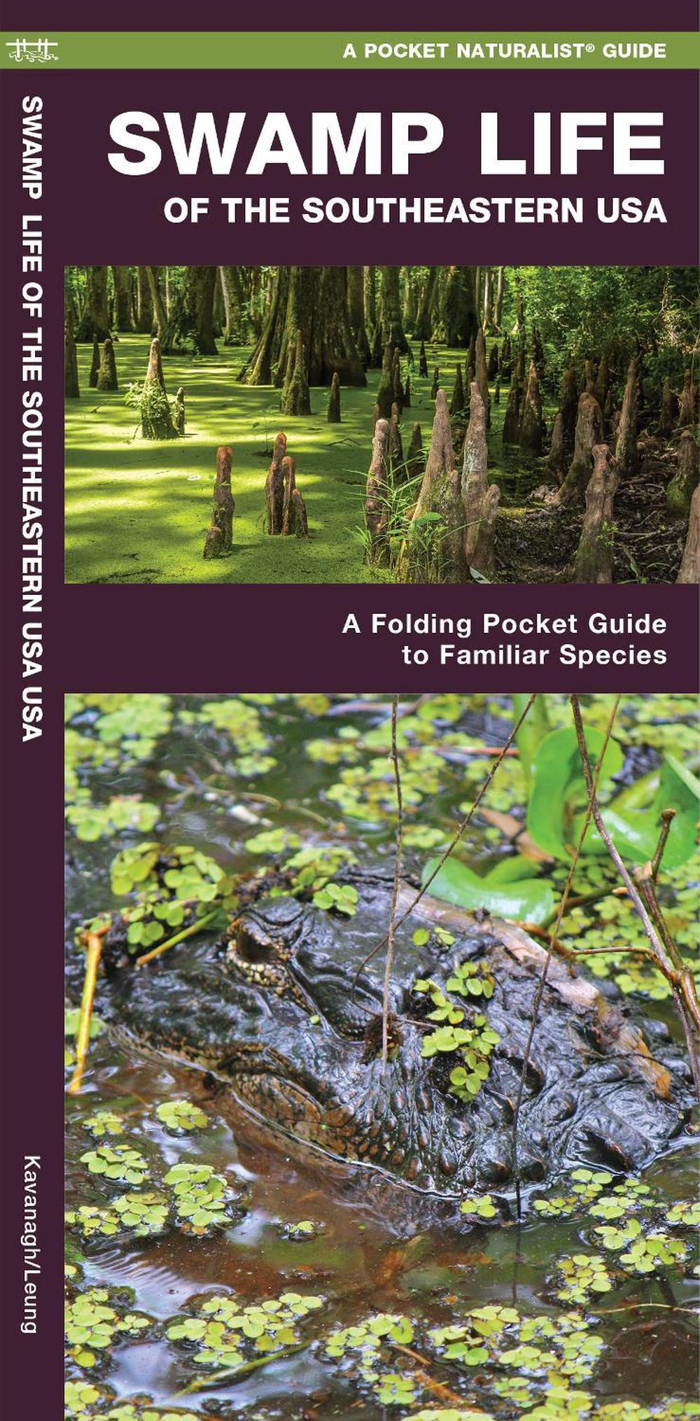 Swamp Life of the Southeastern USA by James Kavanagh, Paperback ...