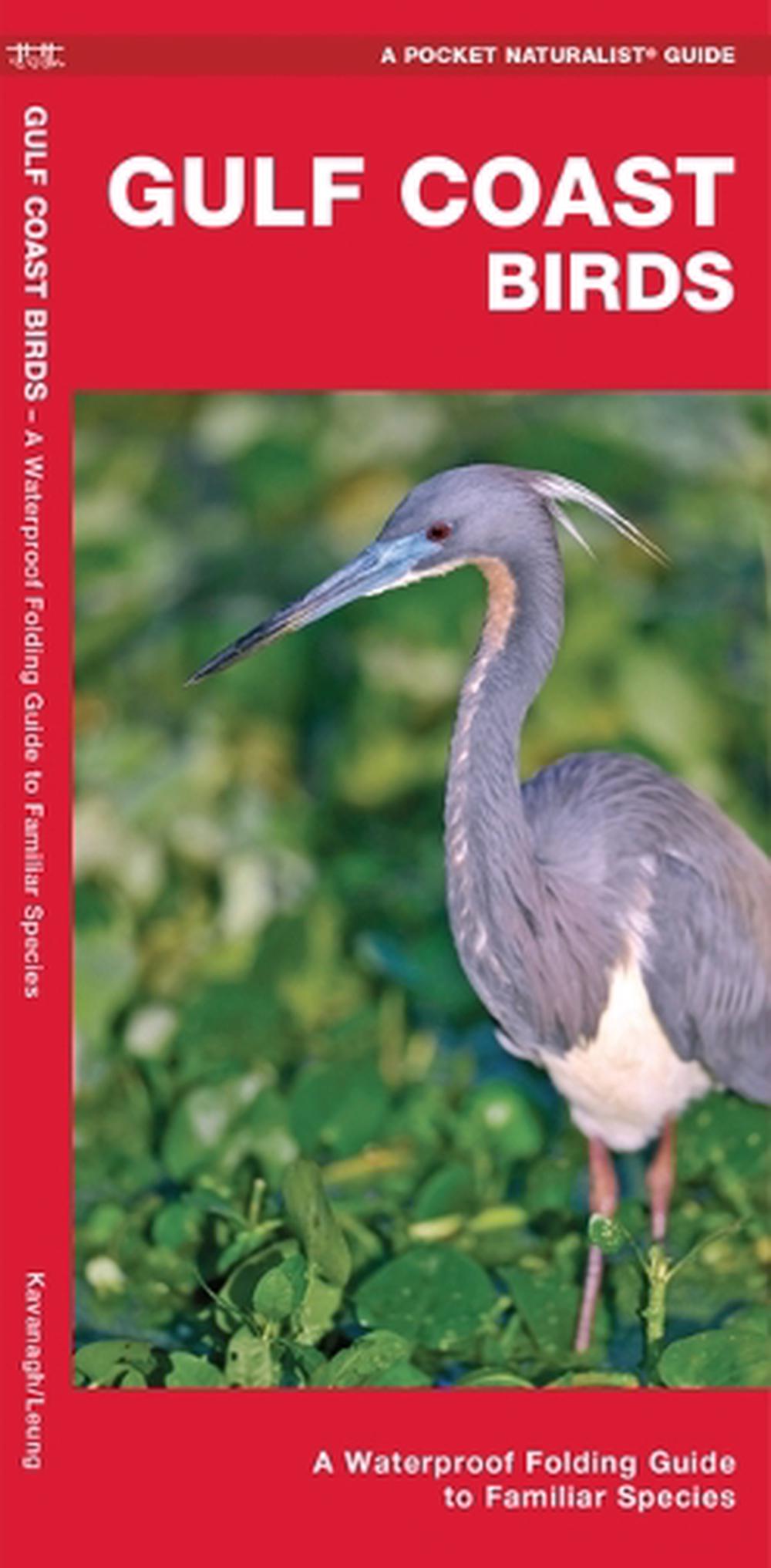 Gulf Coast Birds, 2nd Ed by Waterford Press, Paperback, 9781620055519 ...