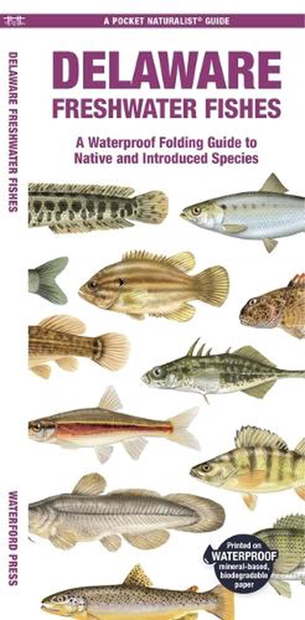 Delaware Freshwater Fishes by Matthew Morris, Paperback, 9781620056783 ...