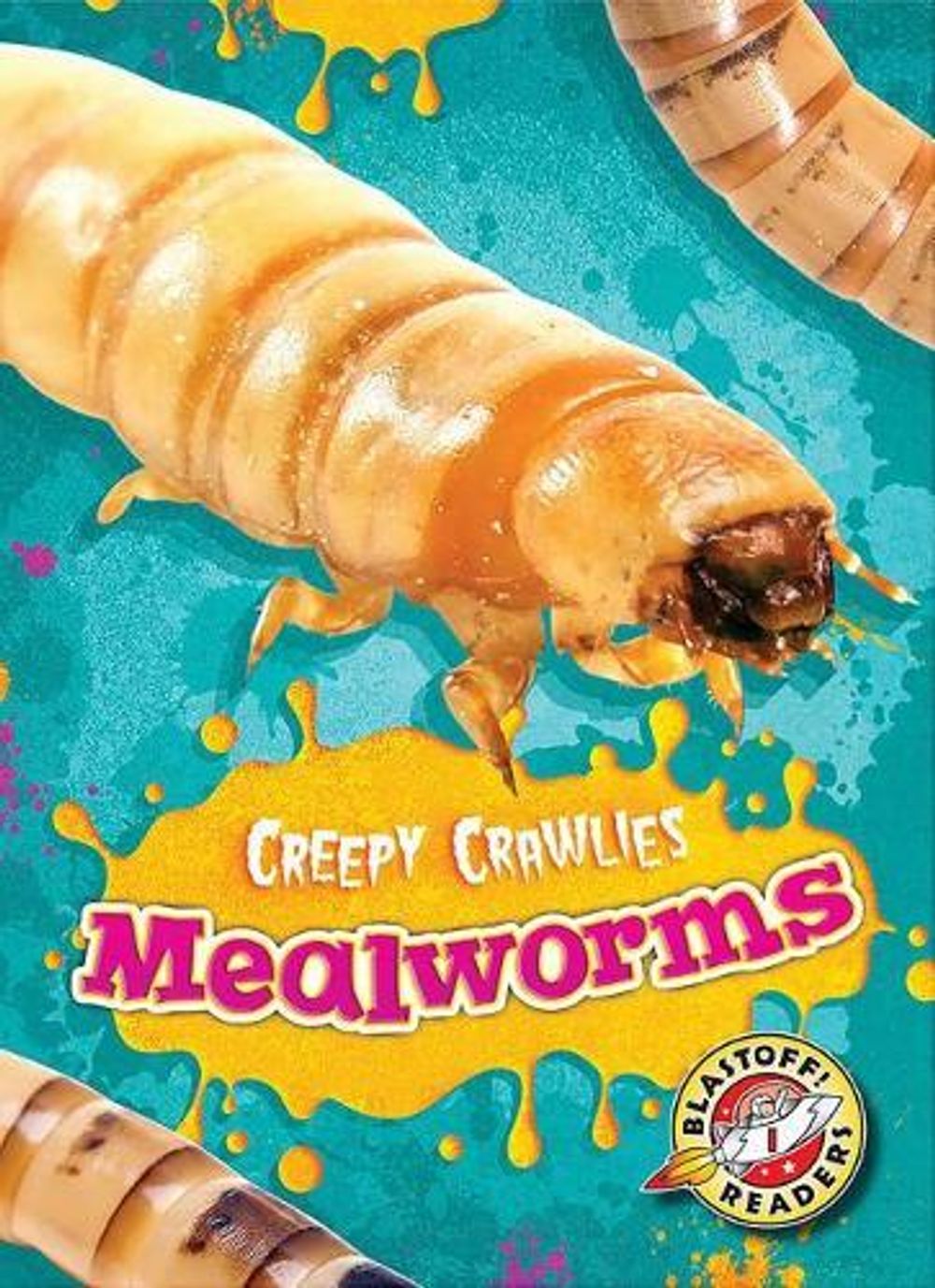 Mealworms by Kari Schuetz, Paperback, 9781626175440 | Buy online at The ...