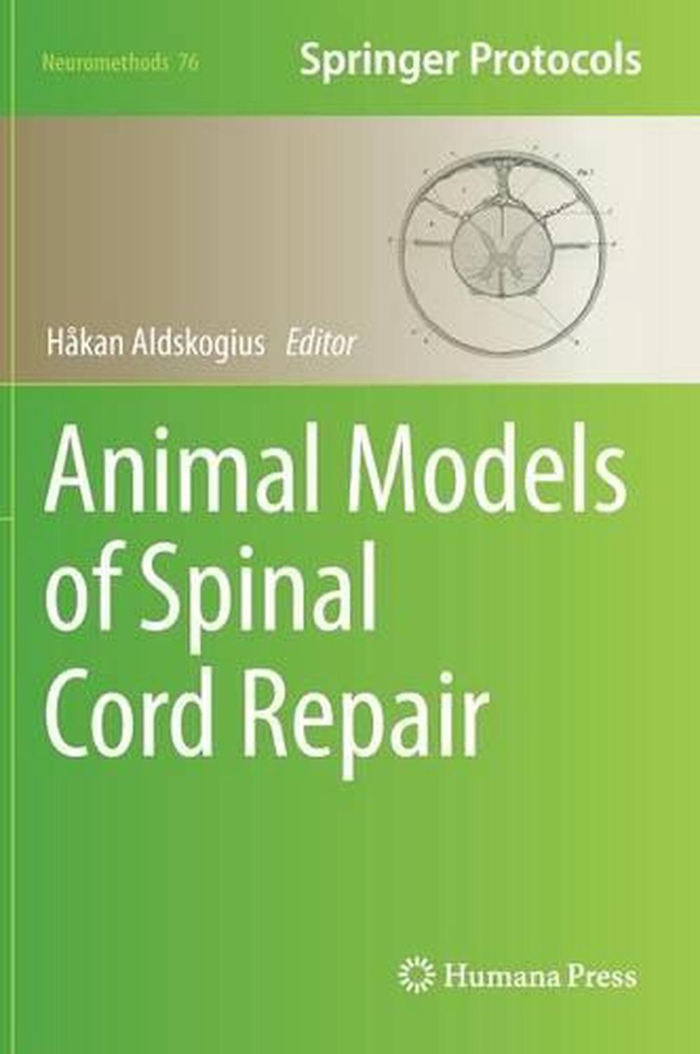 Animal Models Of Spinal Cord Injury at Lowell Jeter blog
