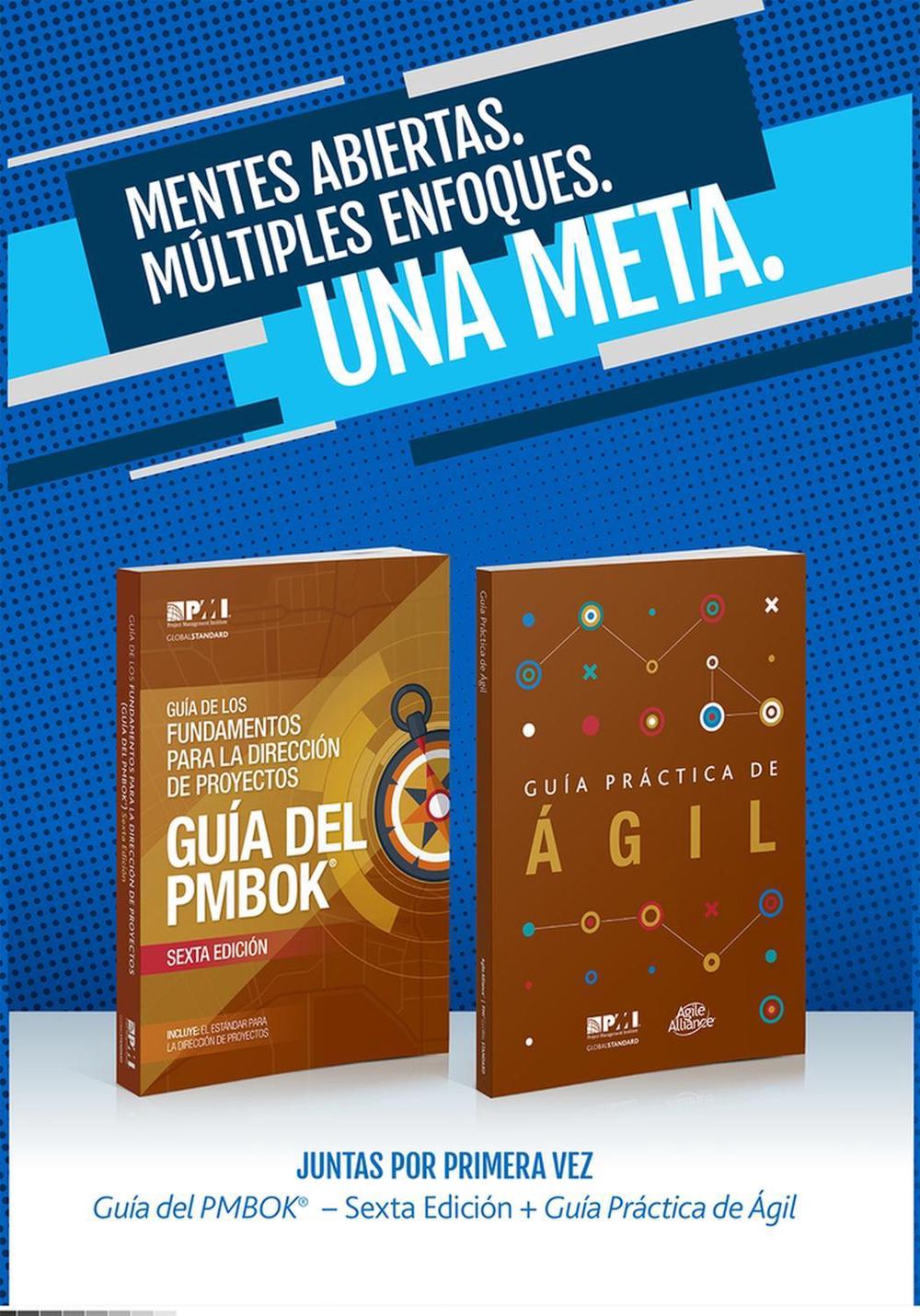 Guâa de los Fundamentos Para la Direcciân de Proyectos (guâa del PMBOK ...