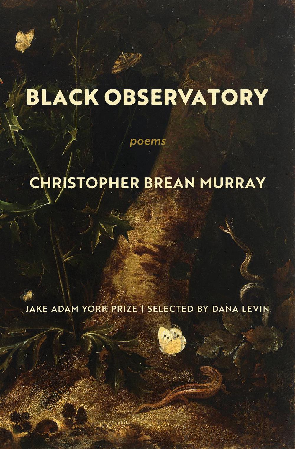 Black Observatory by Christopher Brean Murray, Paperback, 9781639550265 ...