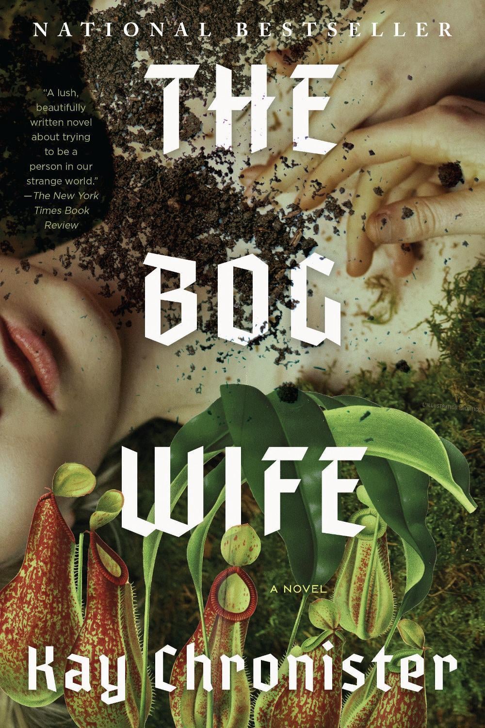 The Bog Wife by Kay Chronister, Paperback, 9781640097322 | Buy online ...