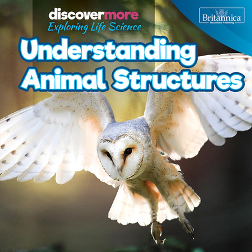 Understanding Animal Structures by Ernest Brazzos, Paperback ...
