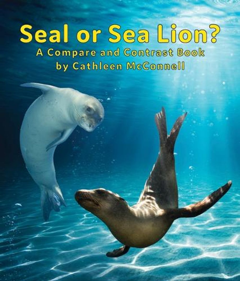 Seals And Sea Lions Difference