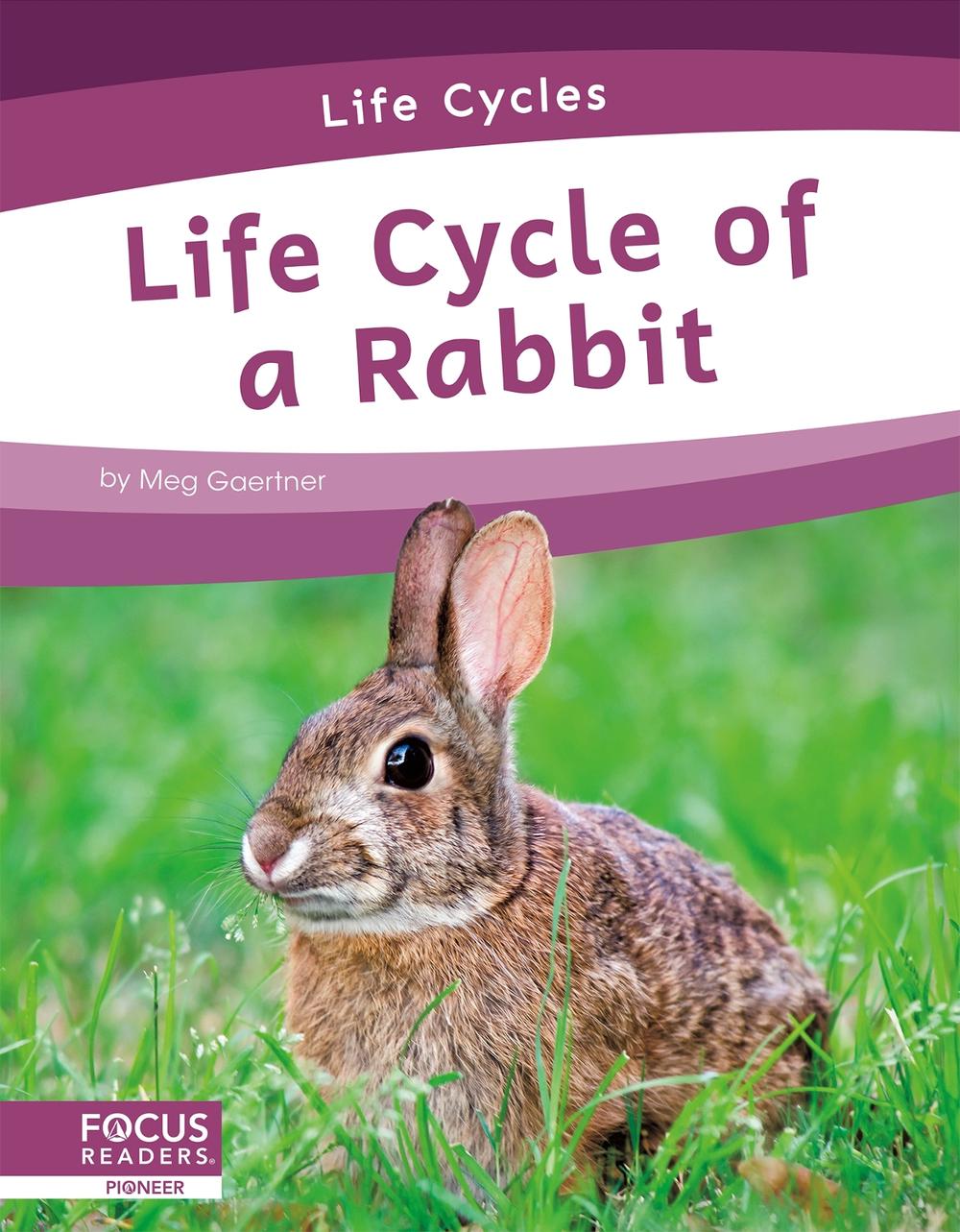 Life Cycle of a Rabbit by Meg Gaertner, Hardcover, 9781644938317 | Buy ...