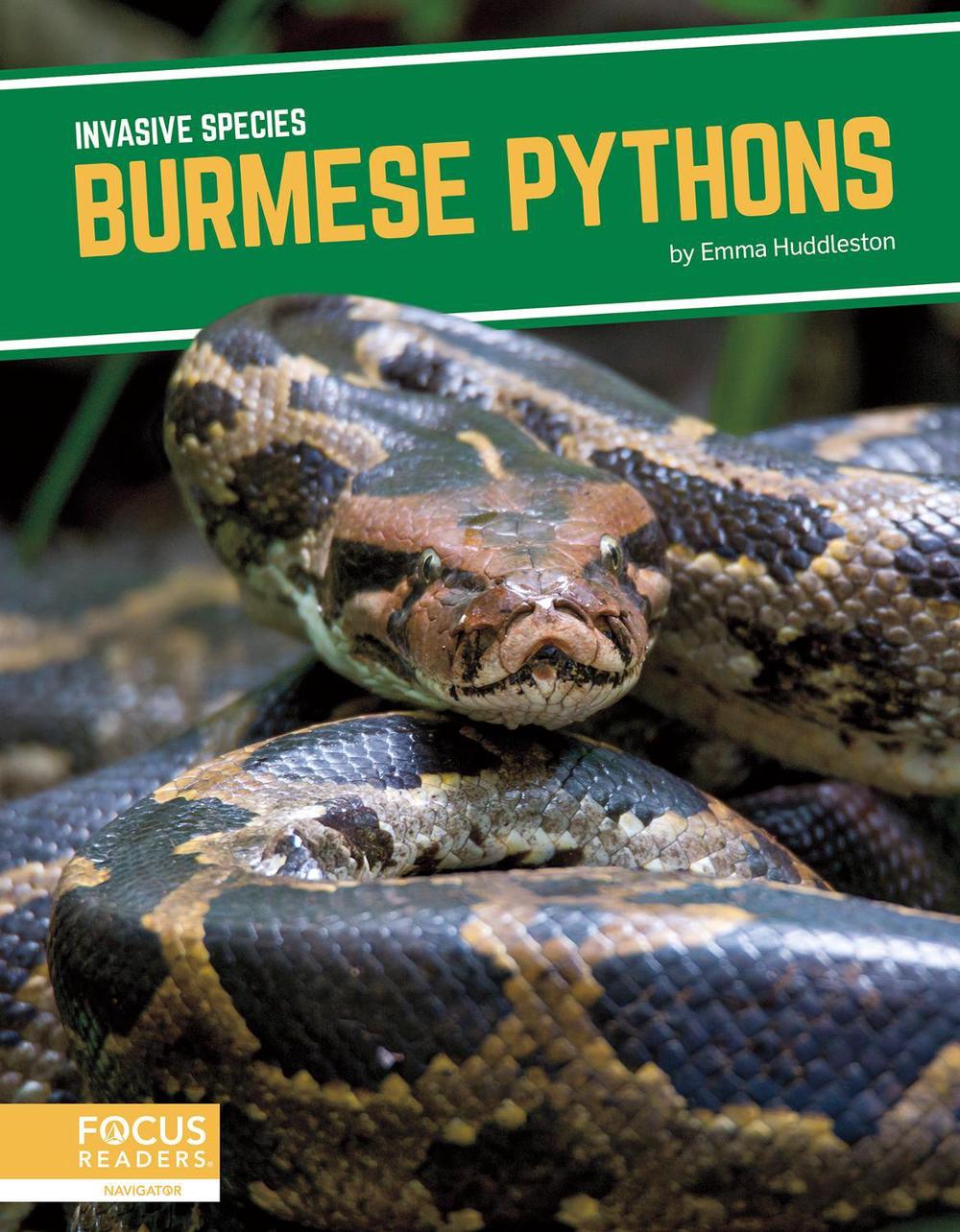 Burmese Pythons by Emma Huddleston, Paperback, 9781644939000 | Buy online at The Nile