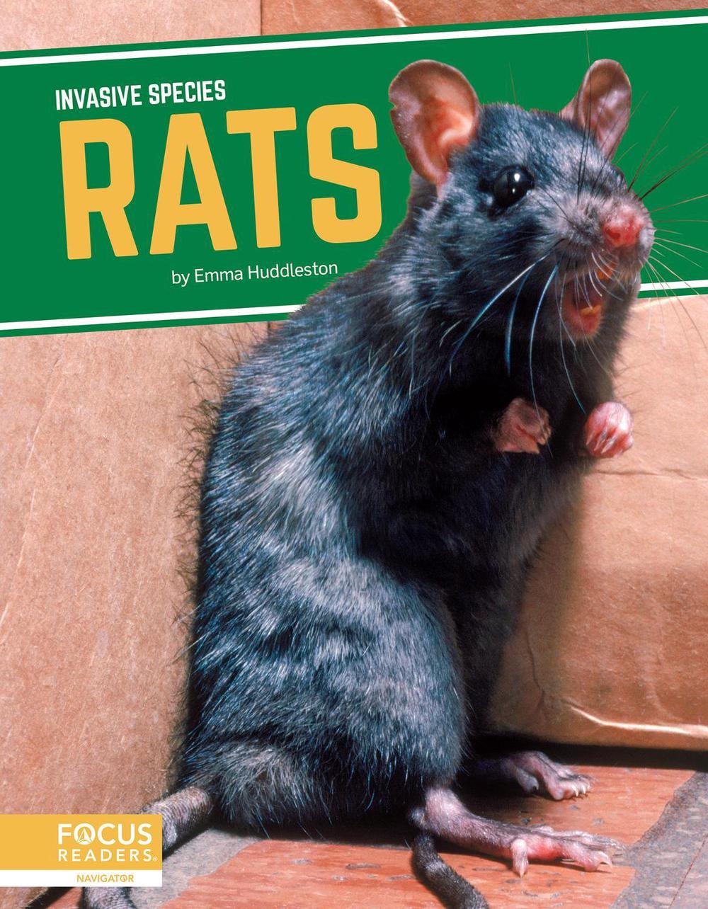 Rats by Emma Huddleston, Paperback, 9781644939031 | Buy online at The Nile