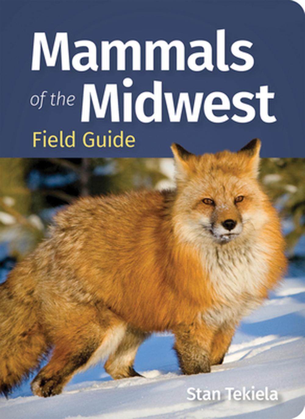 Mammals of the Midwest Field Guide by Stan Tekiela, Paperback ...