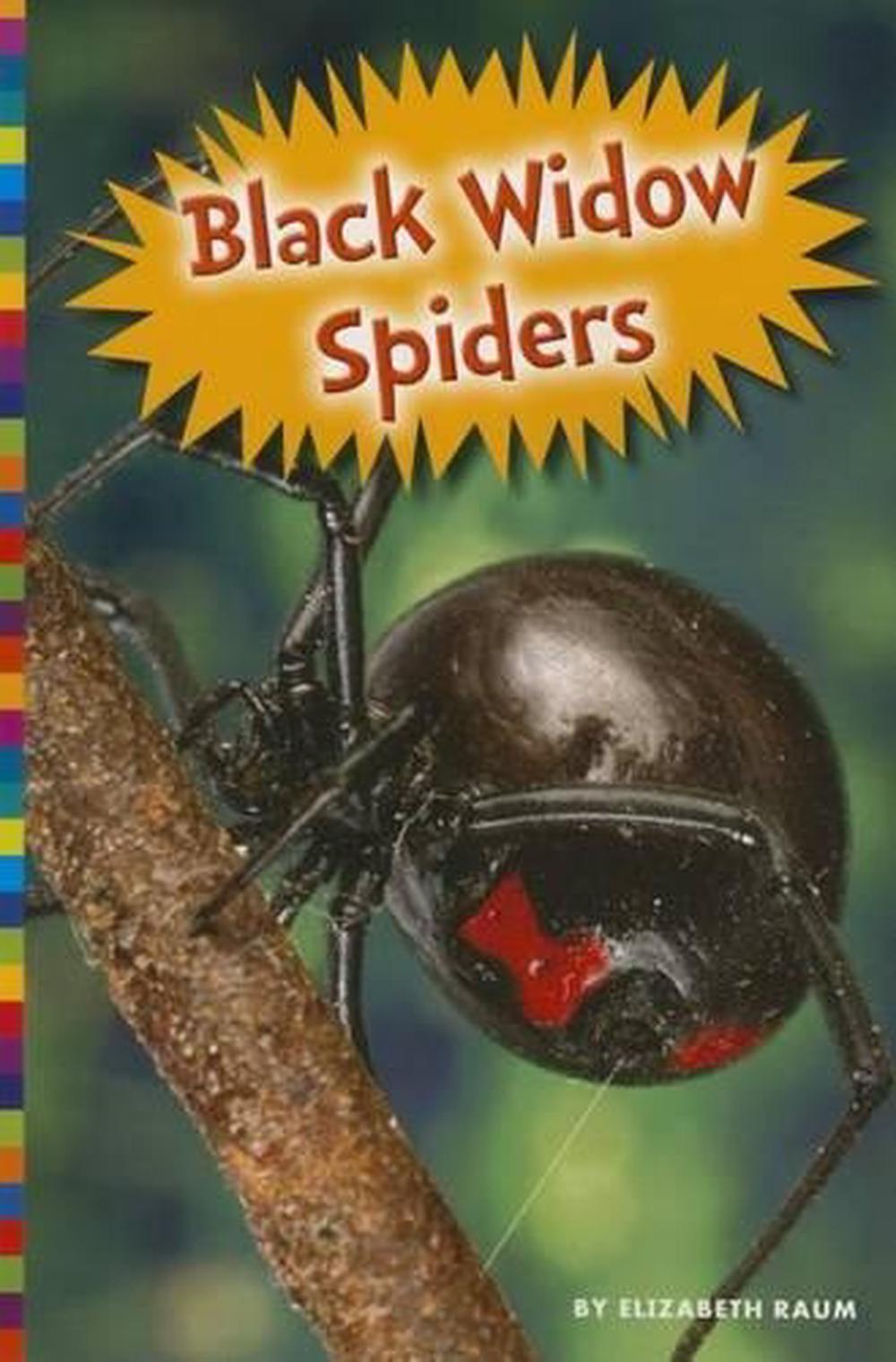 Black Widow Spiders by Elizabeth Raum, Paperback, 9781681520353 | Buy ...