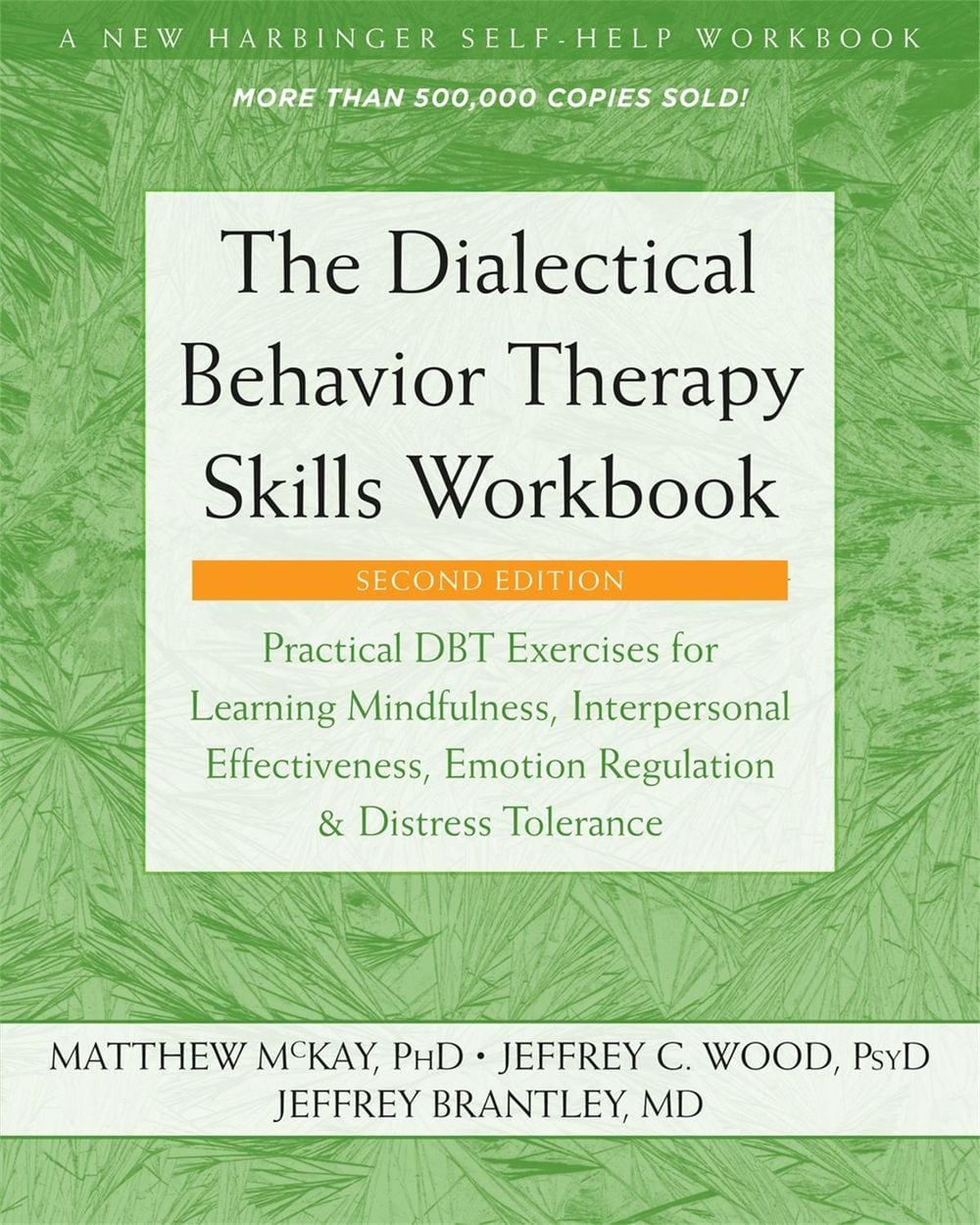 The Dialectical Behavior Therapy Skills Workbook By Matthew McKay 