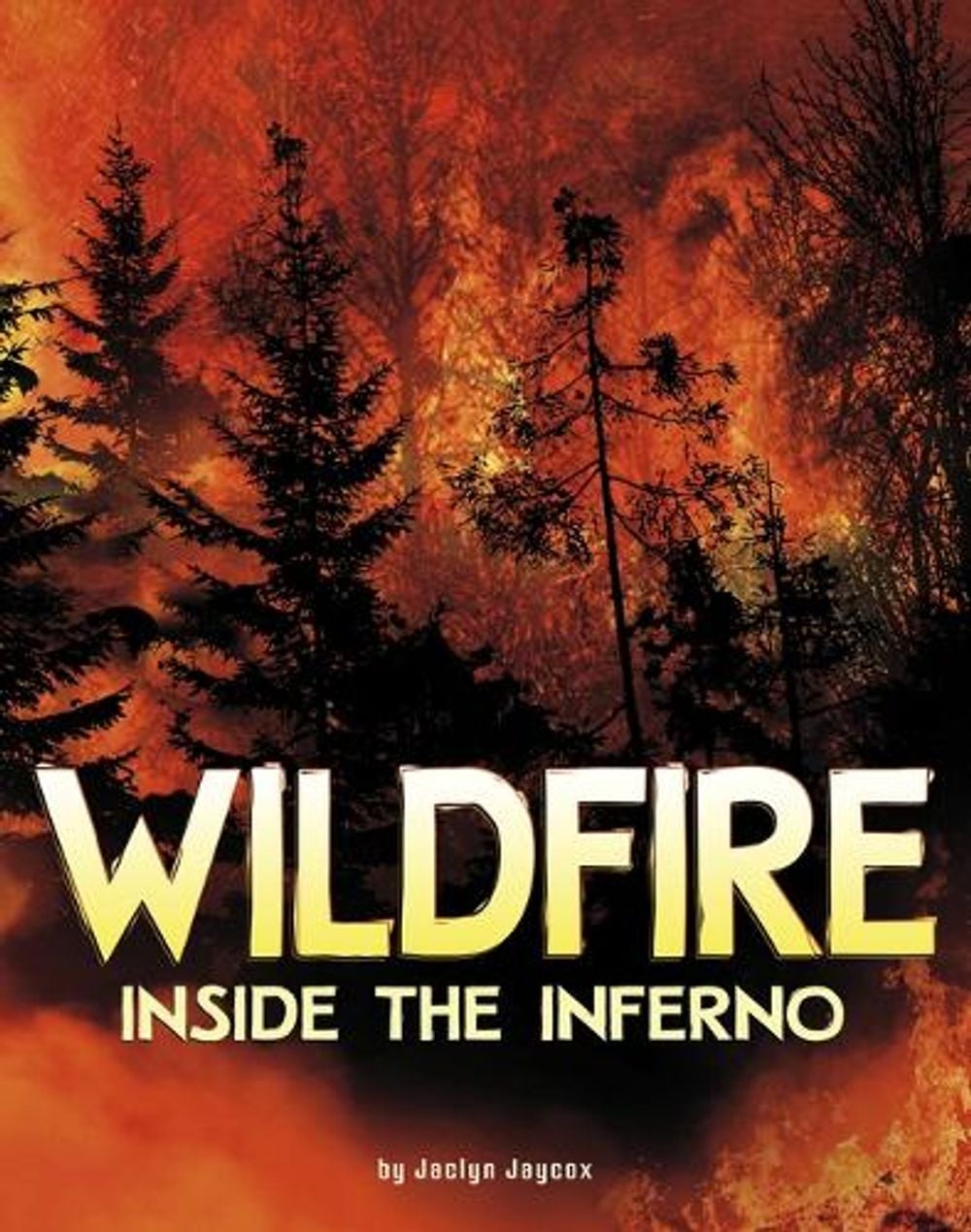 Wildfire, Inside the Inferno by Jaclyn Jaycox, Hardcover, 9781684466115 ...