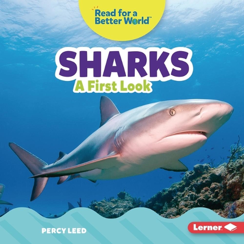 Sharks: A First Look by Percy Leed, Hardcover, 9781728459141 | Buy ...