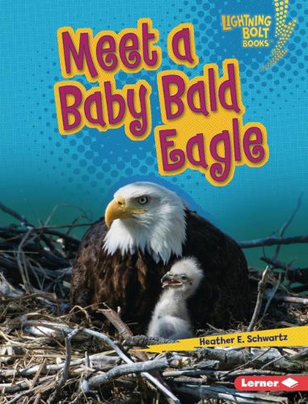 Meet a Baby Bald Eagle by Heather E. Schwartz, Hardcover, 9781728491080 ...