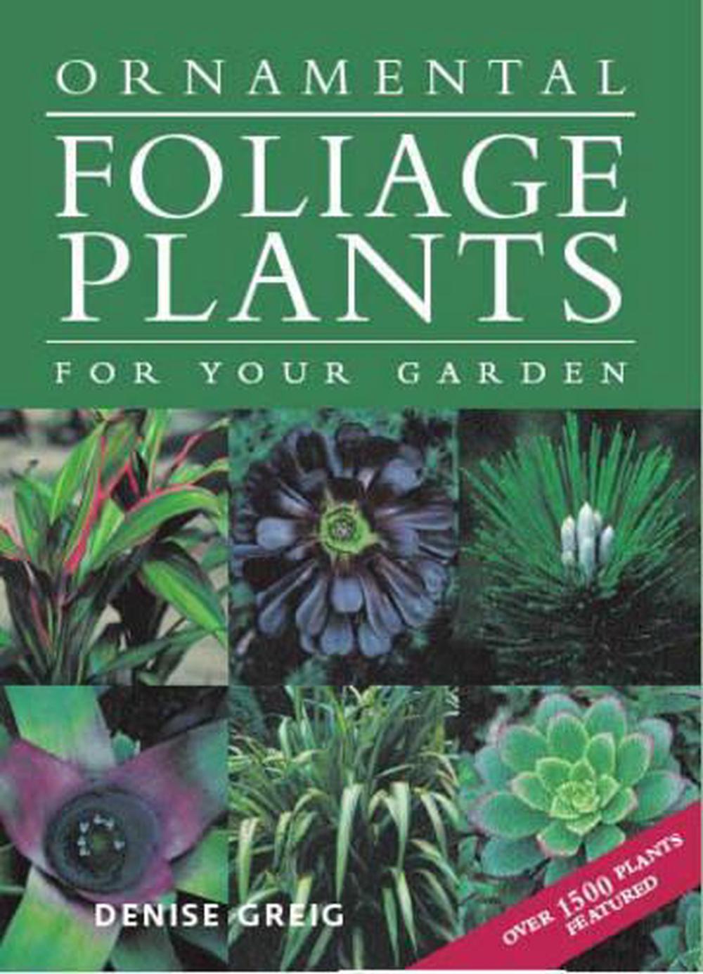 Ornamental Foliage Plants for Your Garden by Denise Greig, Hardcover ...