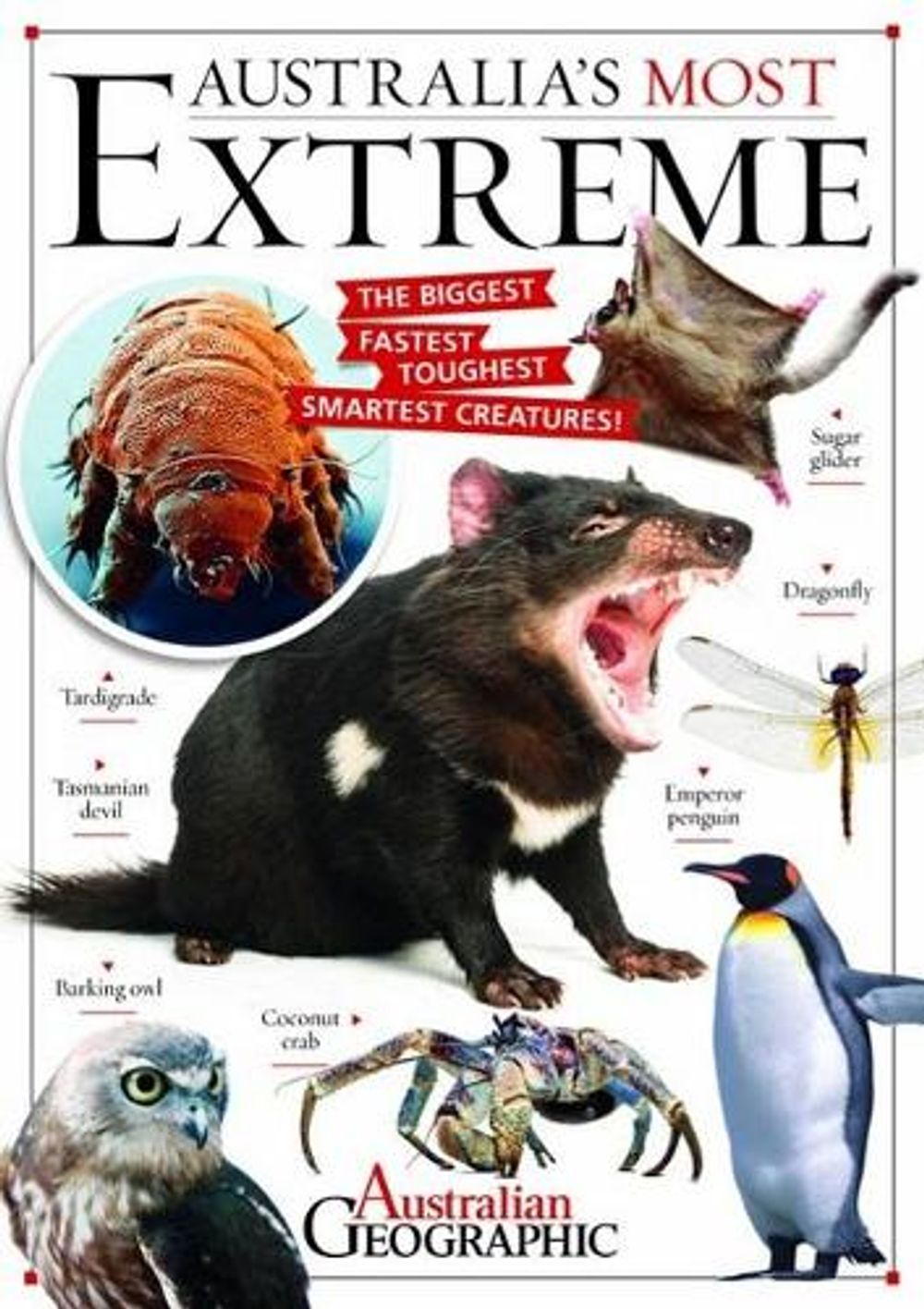 Australia's Most Extreme by Kathy Riley, Paperback, 9781742456614 | Buy ...