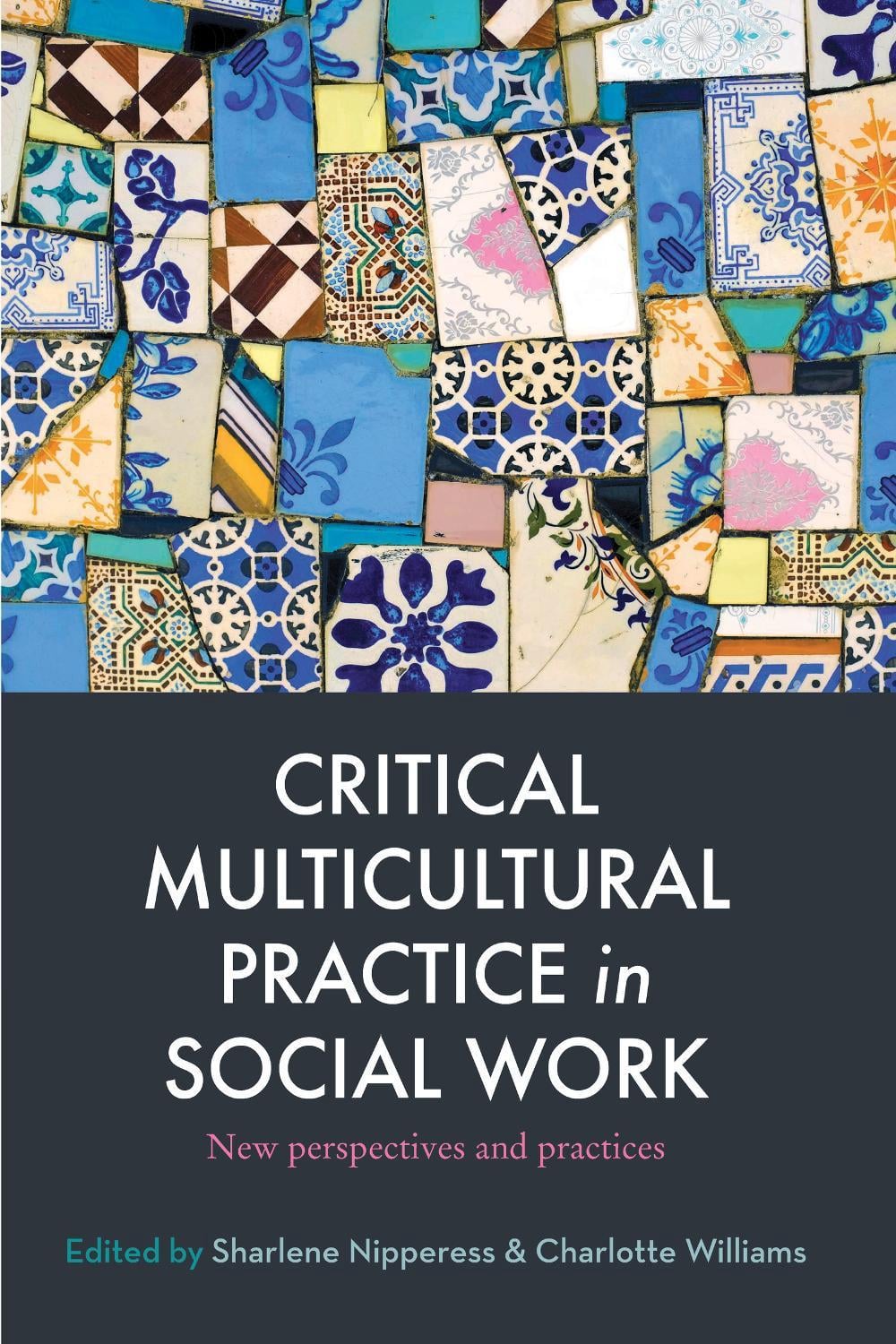 Critical Multicultural Practice in Social Work, 1st Edition by Sharlene ...