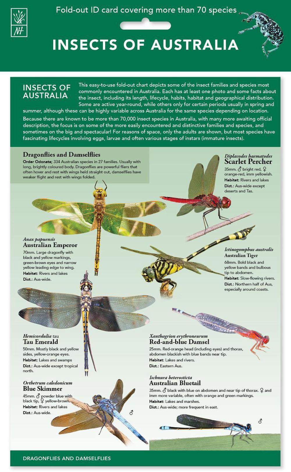 Insects of Australia ID Chart by 9781760797089 9781760797089 ...