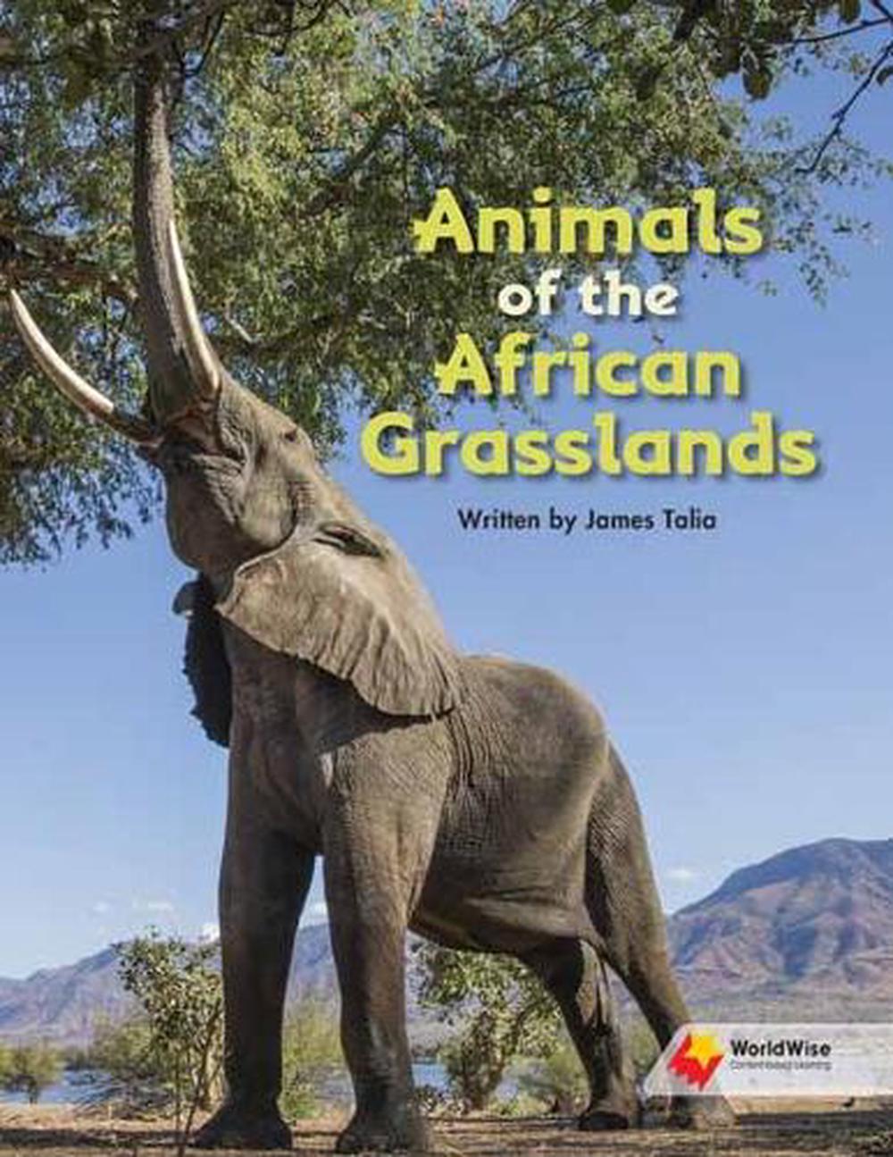 Animals of the African Grasslands by Talia, Paperback, 9781760868482 ...