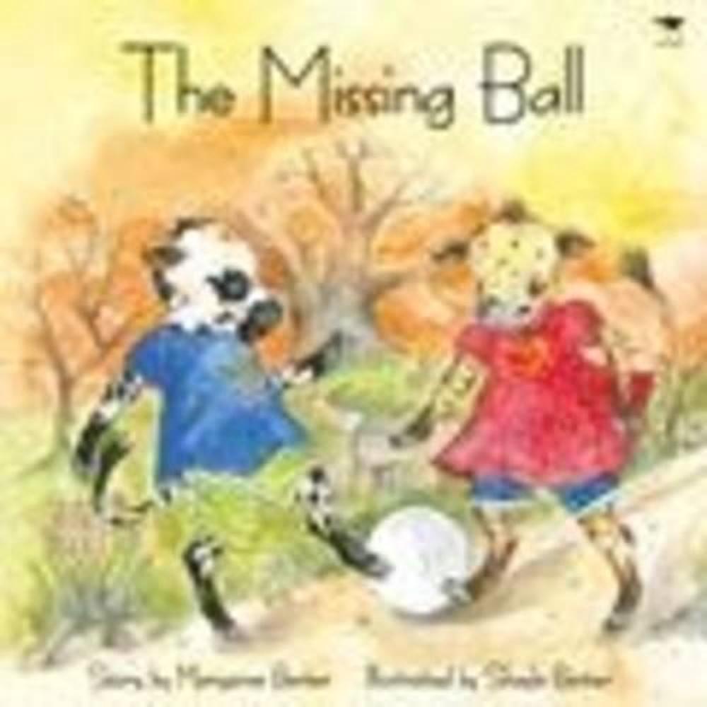 The missing ball by Maryanne Bester, Hardcover, 9781770097049 | Buy ...