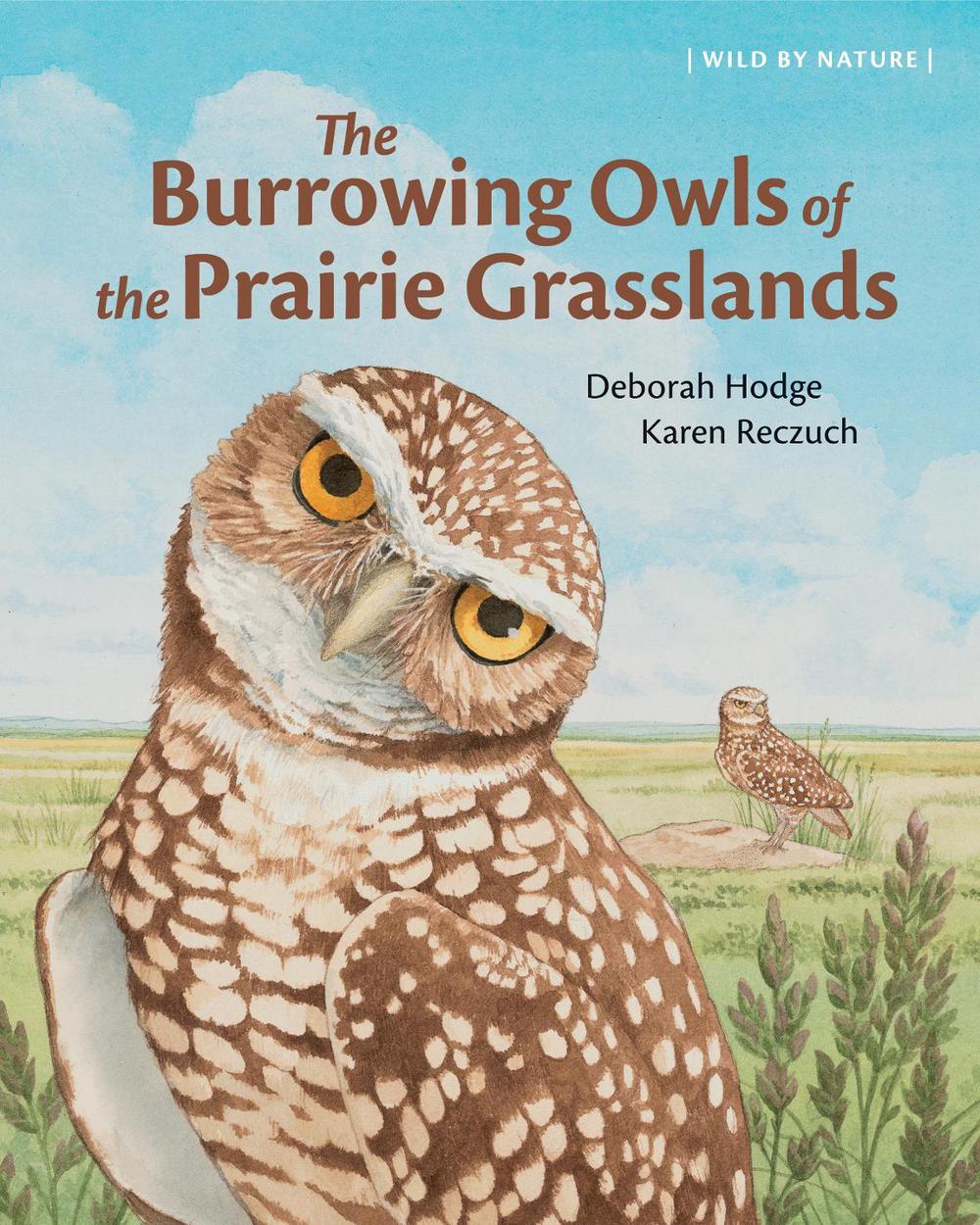 The Burrowing Owls of the Prairie Grasslands by Deborah Hodge ...