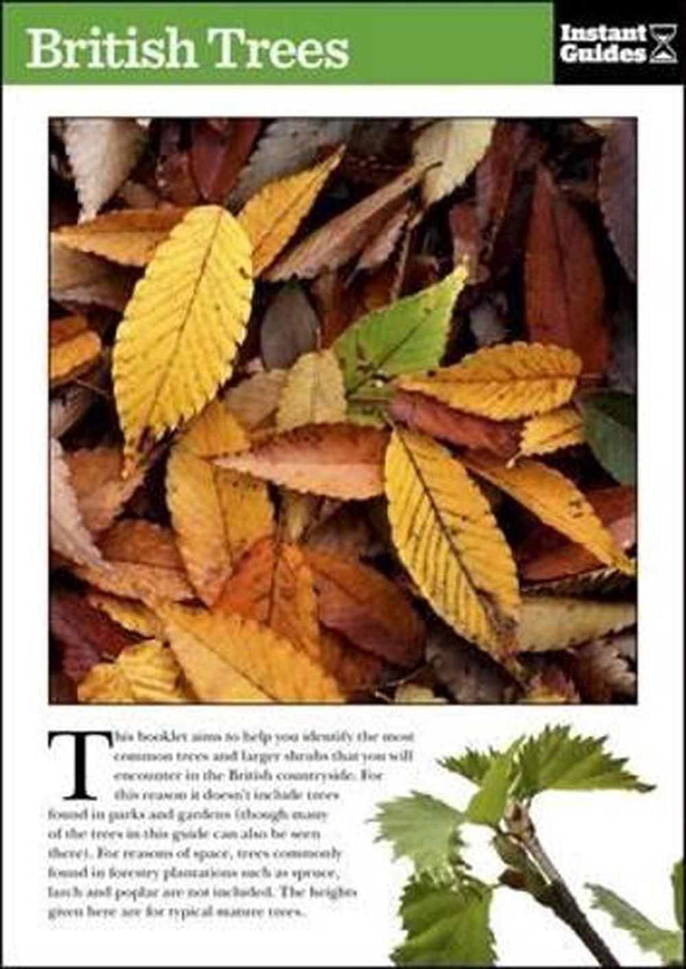 British Trees by Instant Guides, Paperback, 9781780500089 | Buy online ...